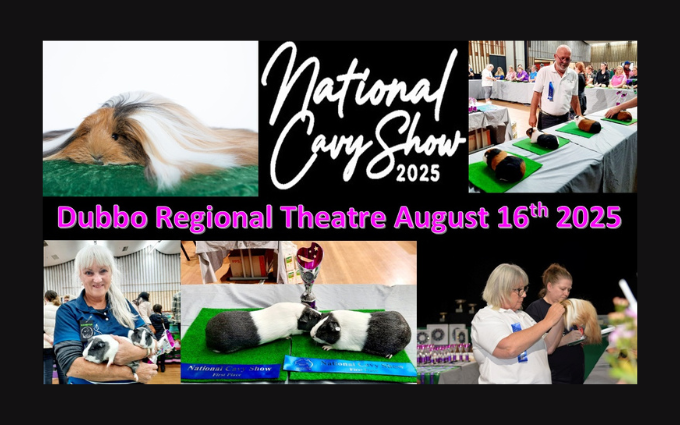 Home | Welcome to Dubbo Regional Theatre and Convention Centre