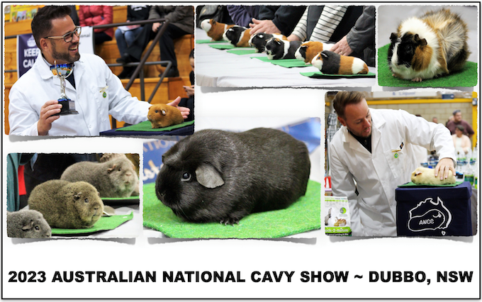 Home | Welcome to Dubbo Regional Theatre and Convention Centre