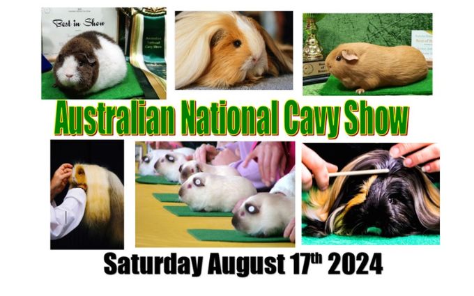 What's on | Welcome to Dubbo Regional Theatre and Convention Centre